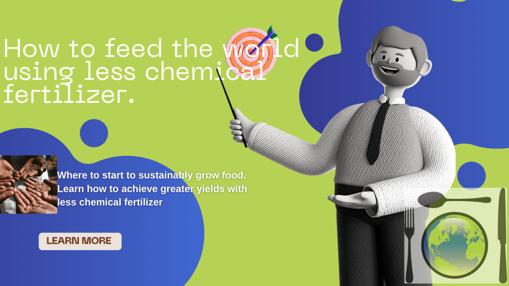 Amazing Benefits of Hass Avocado; Things you need to know for a ...